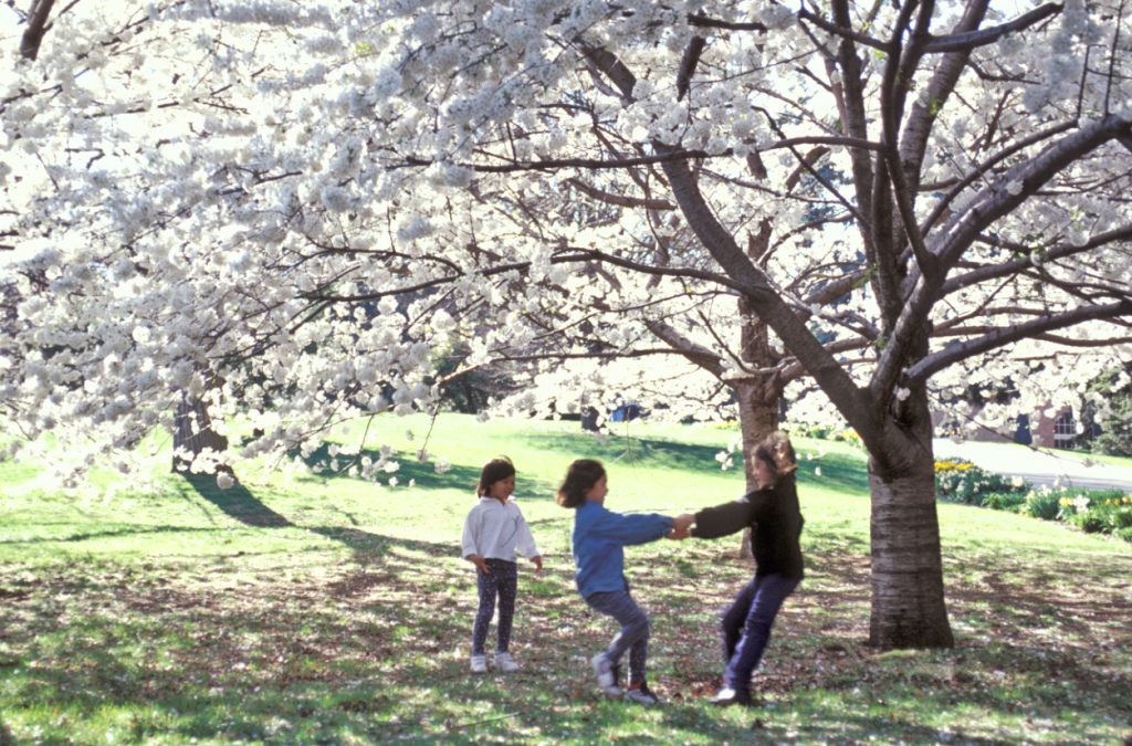 What's the Rhythm of Spring? - Kindermusik