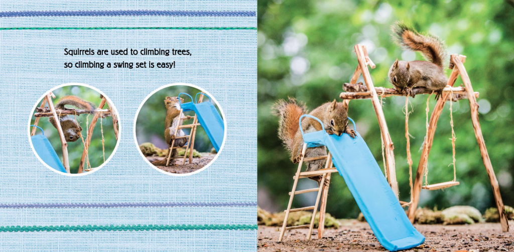 Book Review - The Secret Life of Squirrels: A Love Story - Kindermusik